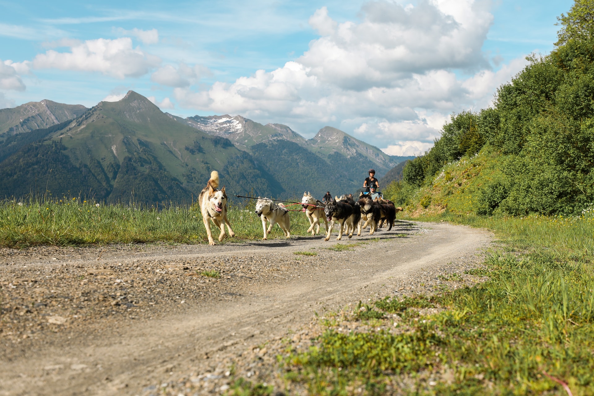 Cani Kart - Les Gets